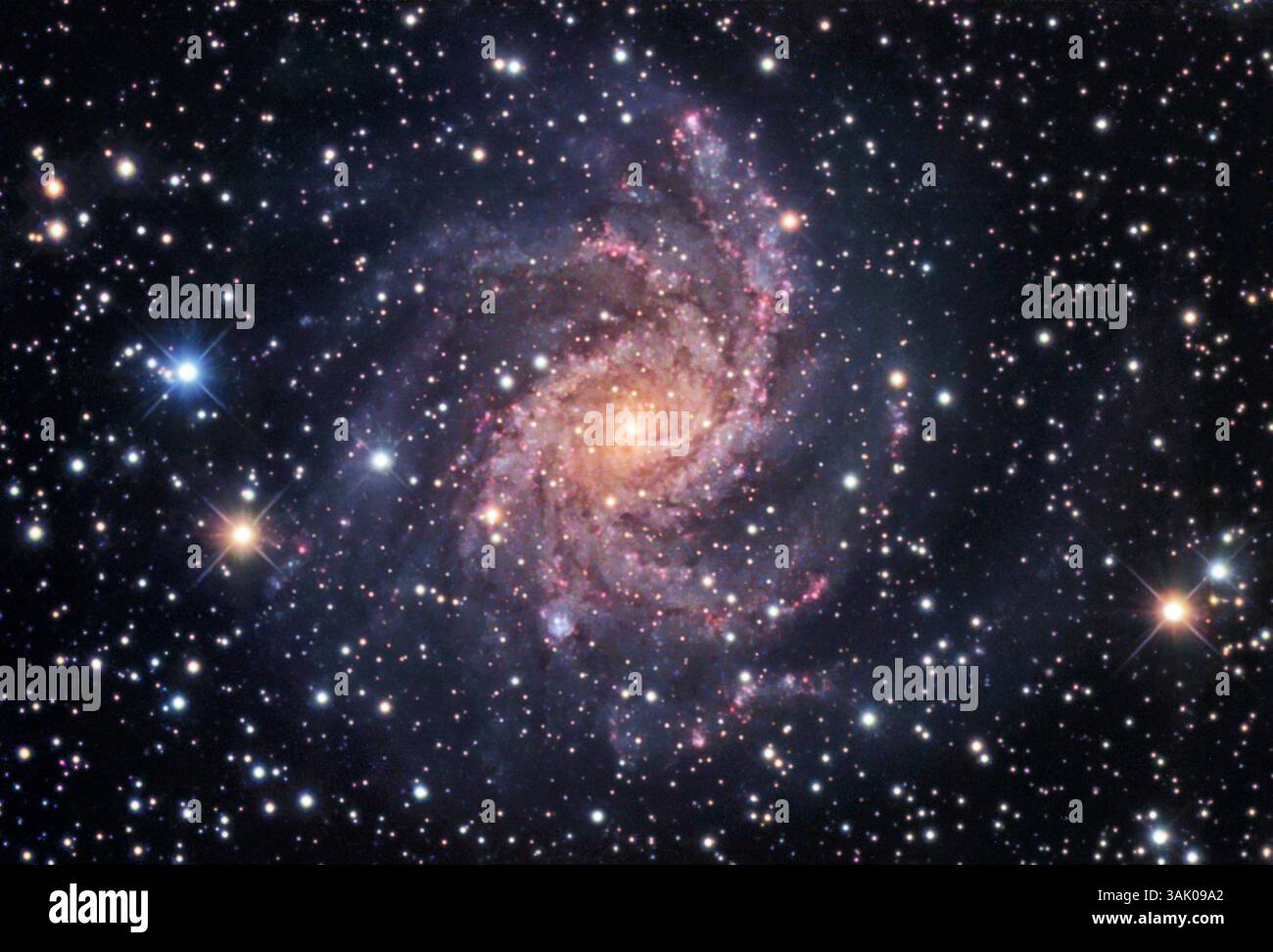 Spiral galaxy NGC 6946, optical image. This galaxy has long spiral arms that contain numerous ...