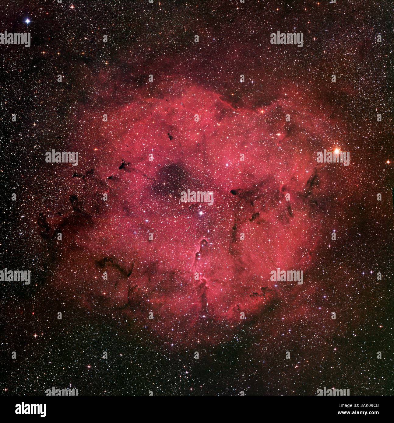 Emission nebula IC 1396, optical image. This is a huge region of gas and dust that glows red as ...