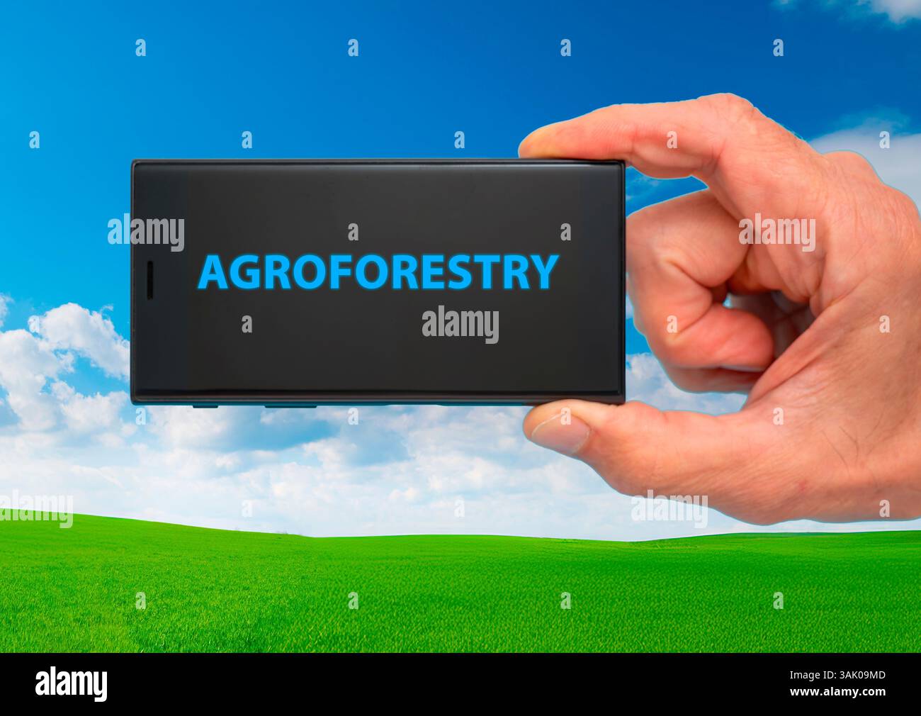 Agroforestry. Integrating trees with crops or livestock to enhance ...