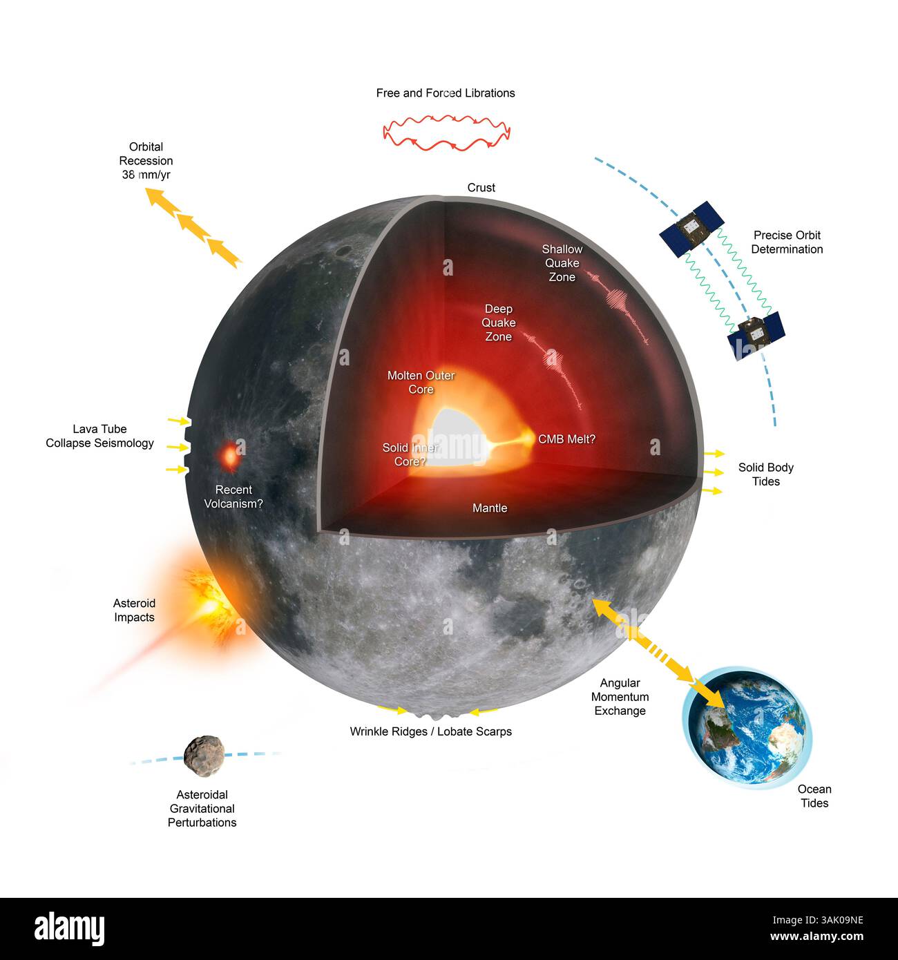 Infographic showing the various branches of science related to the ...