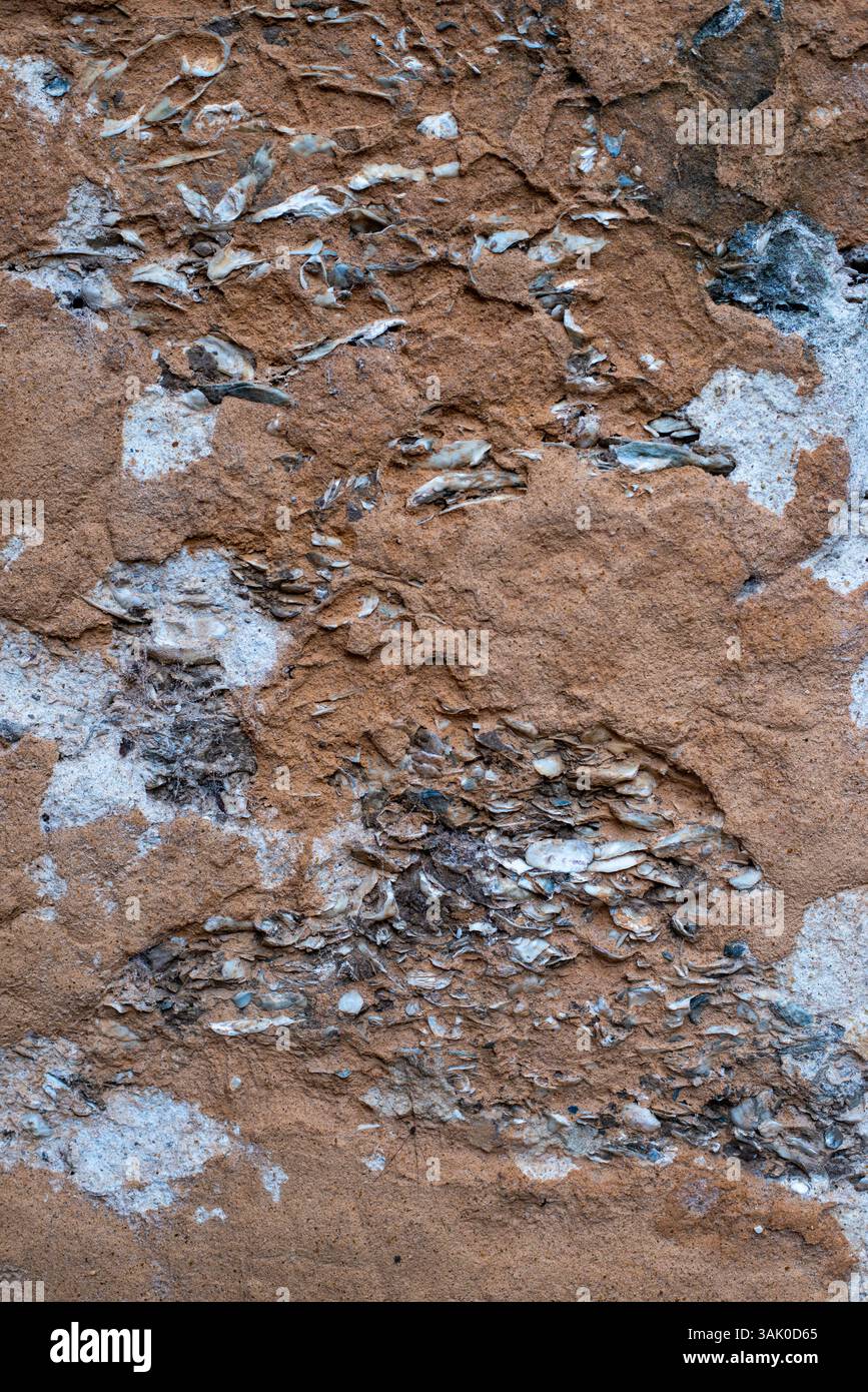 Horton House Ruins, Jekyll Island, Georgia is one of the oldest ...