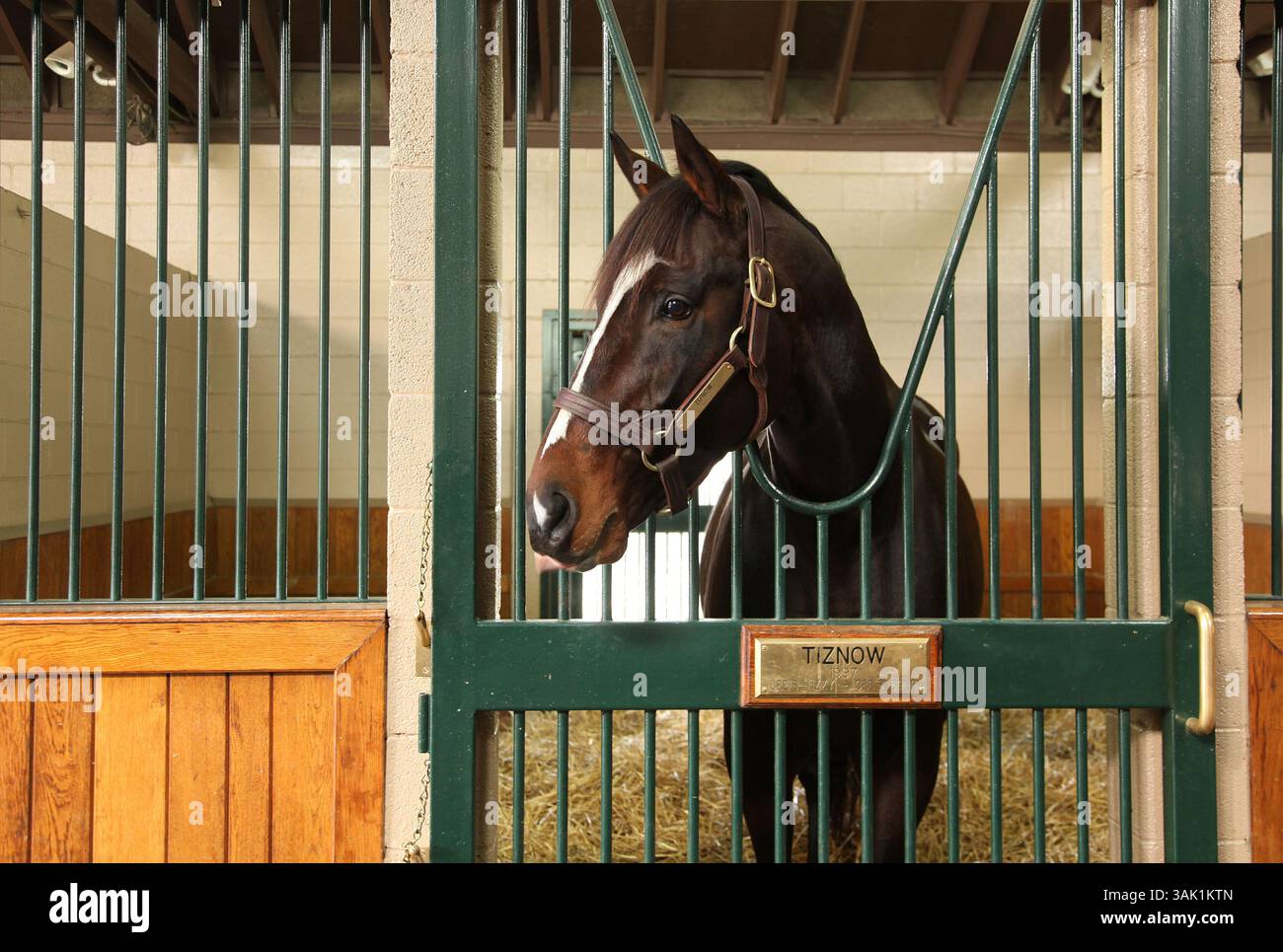 Tiznow hi-res stock photography and images - Alamy
