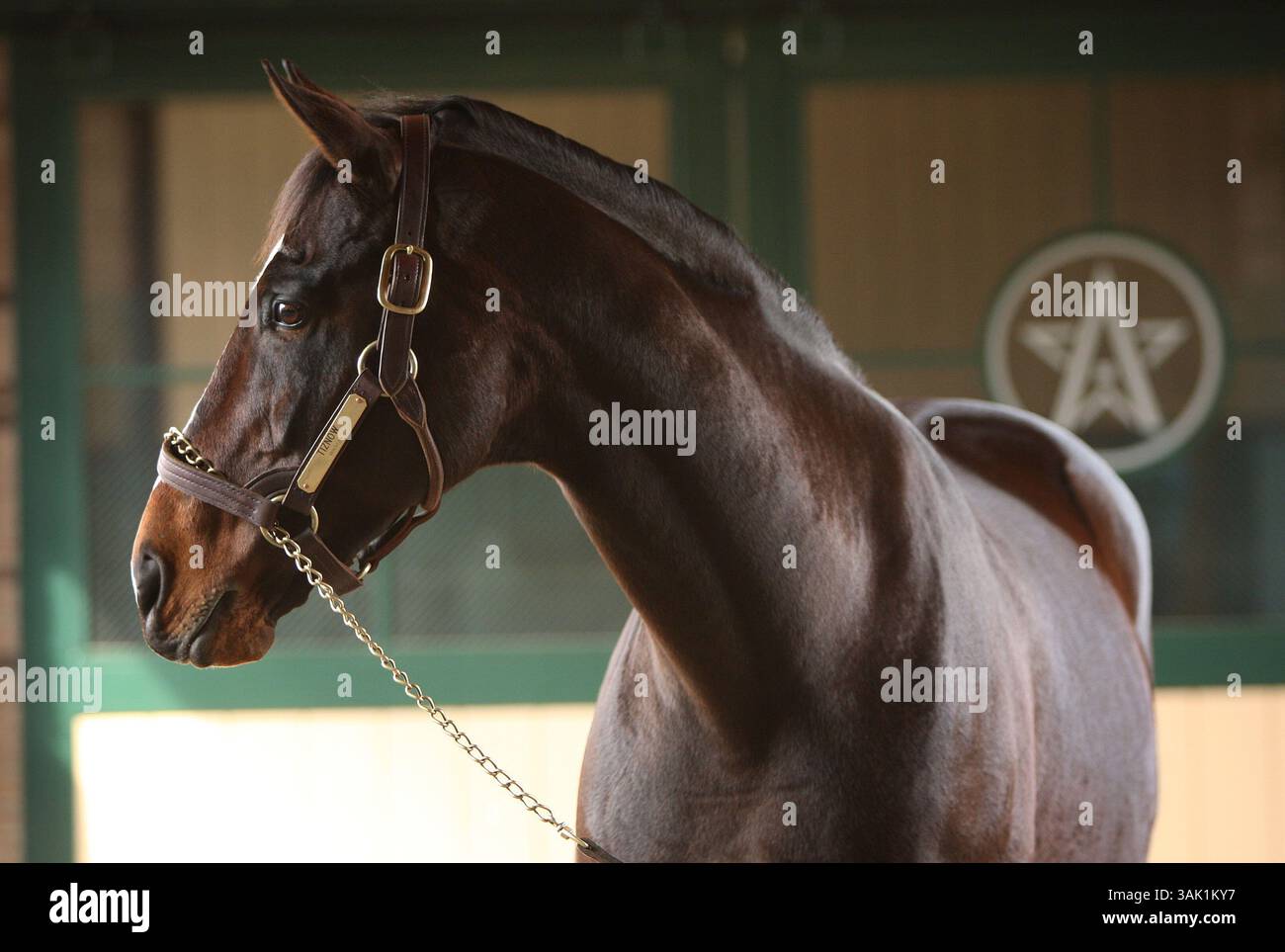 Tiznow hi-res stock photography and images - Alamy