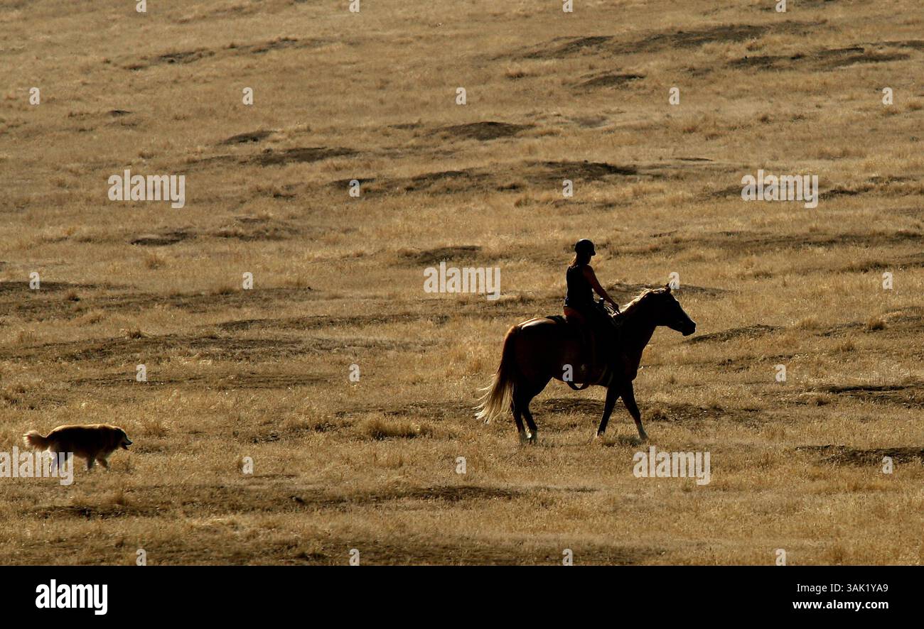 Casey Christie / The Californian.A backlit horse rider and her dog get ...
