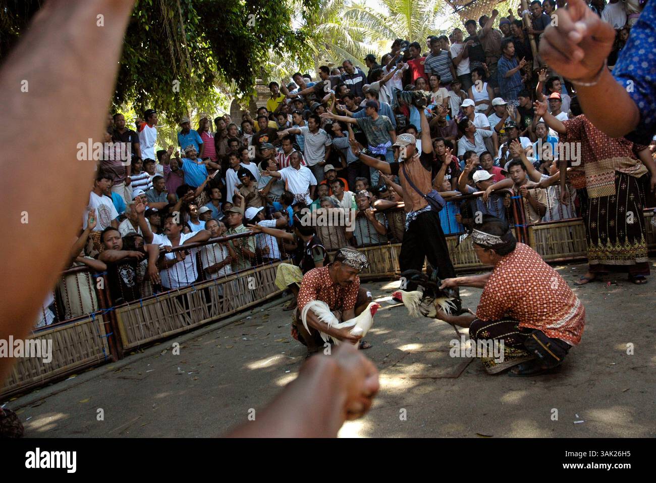 Oct 22, 2008 - Denpasar, Bali, Indonesia - When the first human case of ...