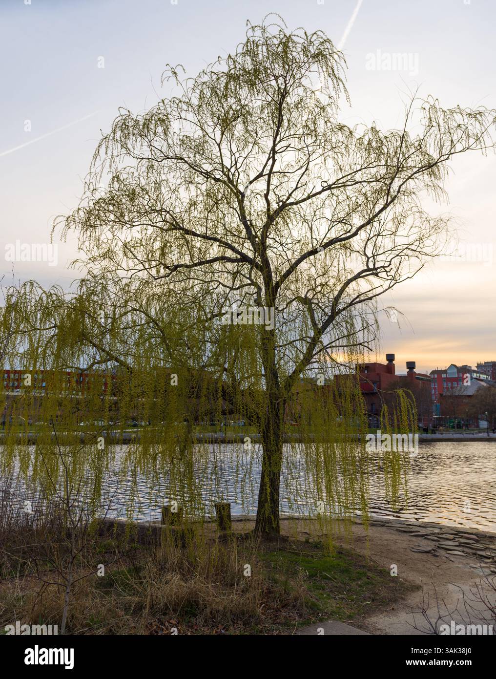 Providence culture hi-res stock photography and images - Alamy