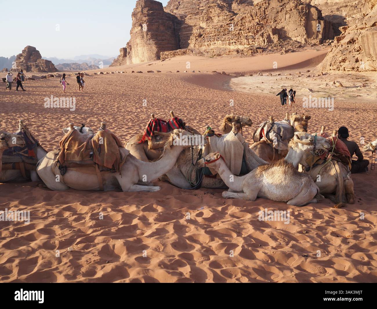 Jordan, Amman, Wadi rum desert, Aqaba Stock Photo - Alamy