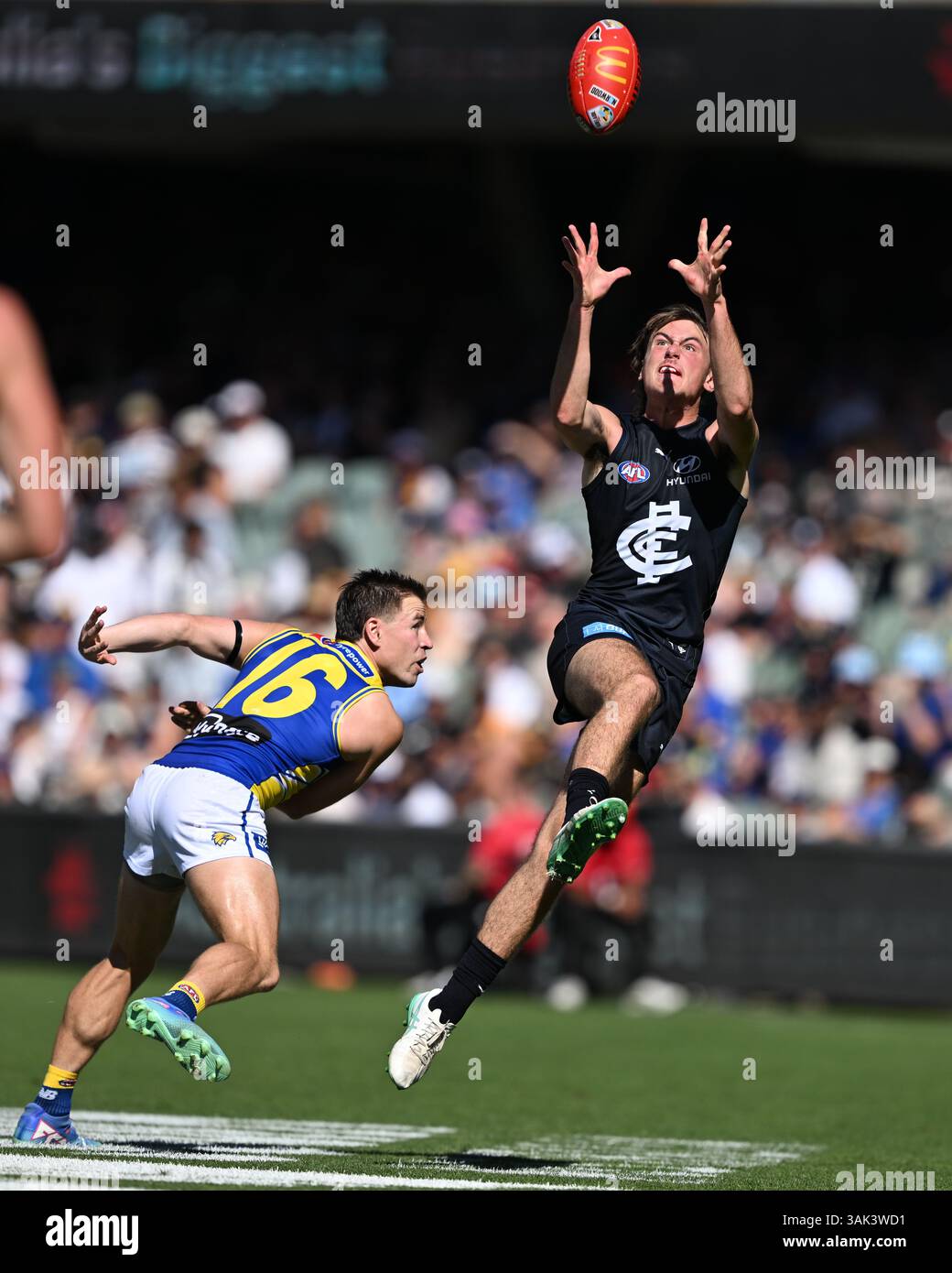 Adelaide, Australia. 12th Apr, 2025. Matthew Carroll of Carlton marks ...