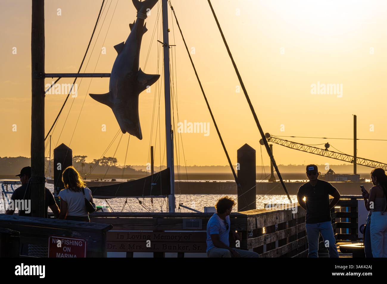 Nassau river, yulee florida hi-res stock photography and images - Alamy