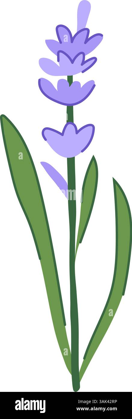 flower lavender cartoon vector illustration Stock Vector Image & Art ...