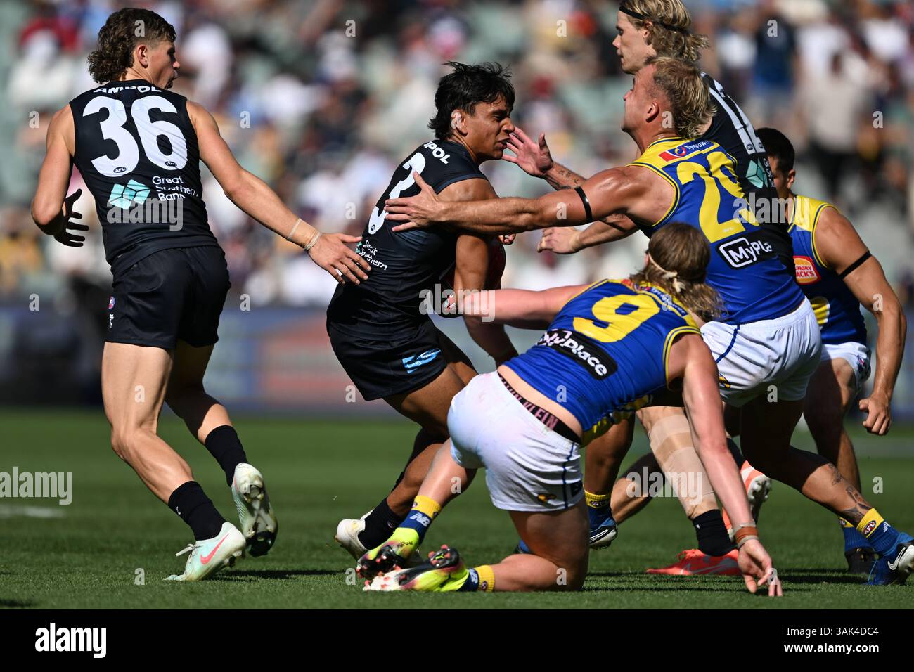 Adelaide, Australia. 12th Apr, 2025. Jesse Motlop of Carlton and Clay ...