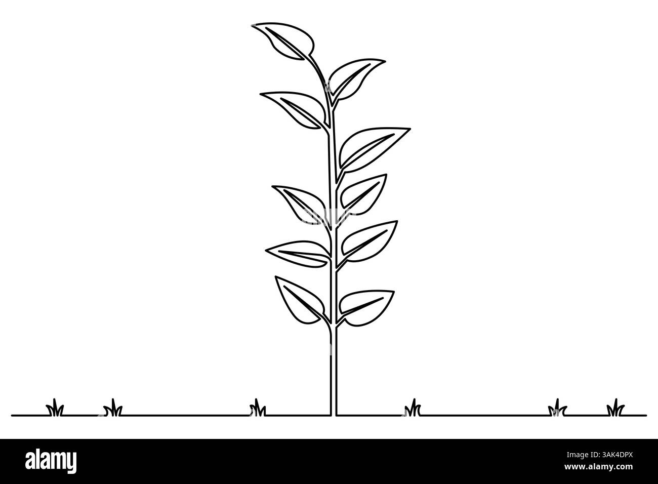 Growth plant processing single line drawing of tree outline vector ...