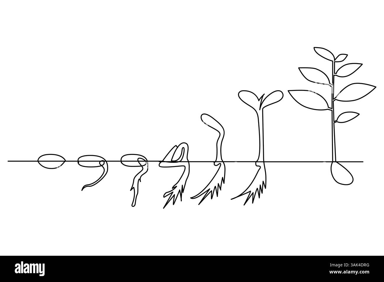 Growth plant processing single line drawing of tree outline vector ...