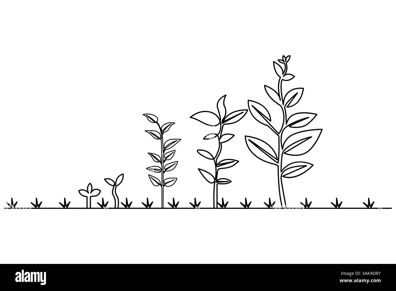 Growth plant processing single line drawing of tree outline vector ...