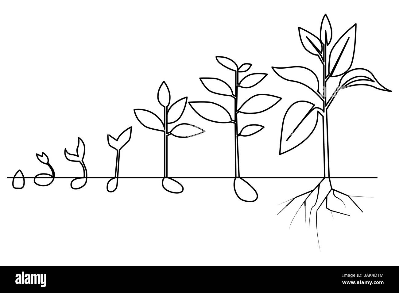 Growth plant processing single line drawing of tree outline vector ...
