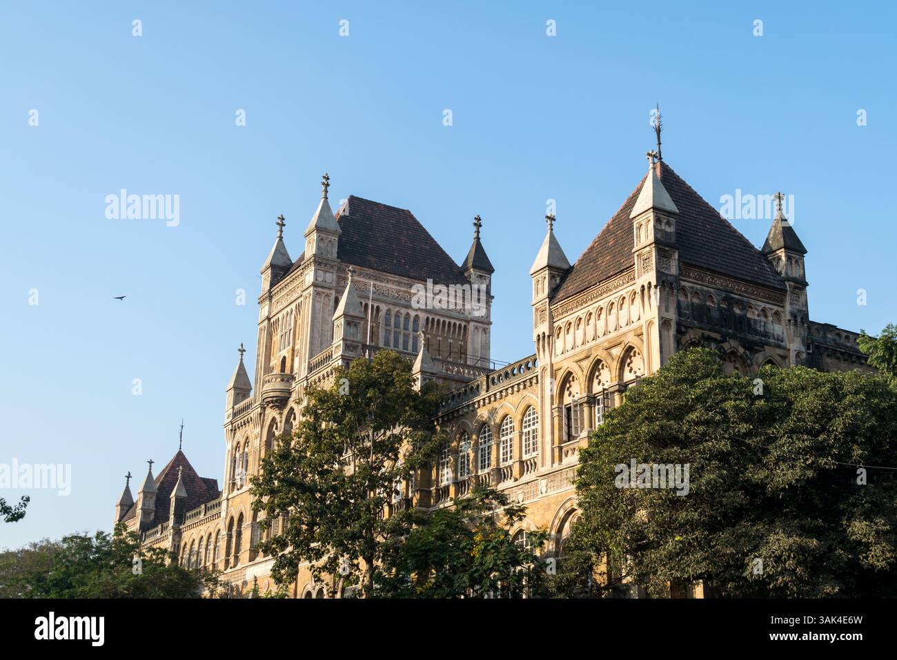 The famous building of Elphinstone College, a symbol of the heritage of ...