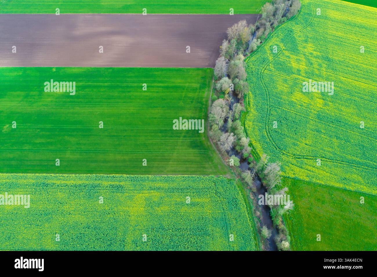 a river between crop fields in an agricultural area, directly above ...