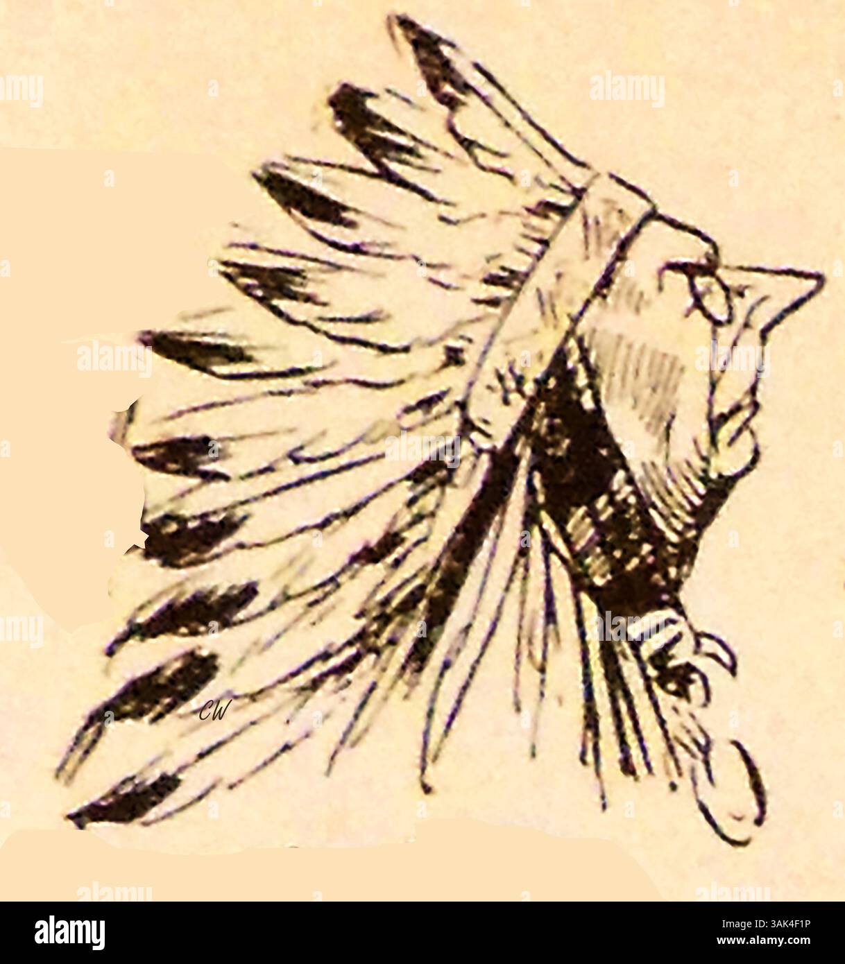 A cartoon portrait of Joseph Chamberlain, British politician (1836-1914 ...