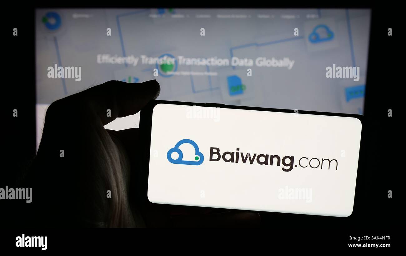 Germany. 14th Nov, 2024. In this photo illustration, a person is ...