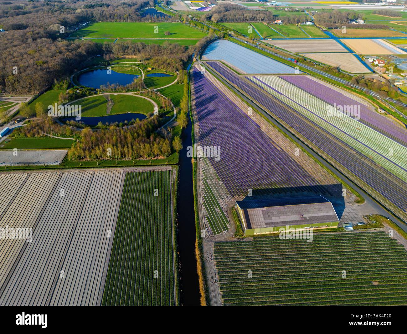 Aerial view of a uniquely designed park with circular paths and ponds ...