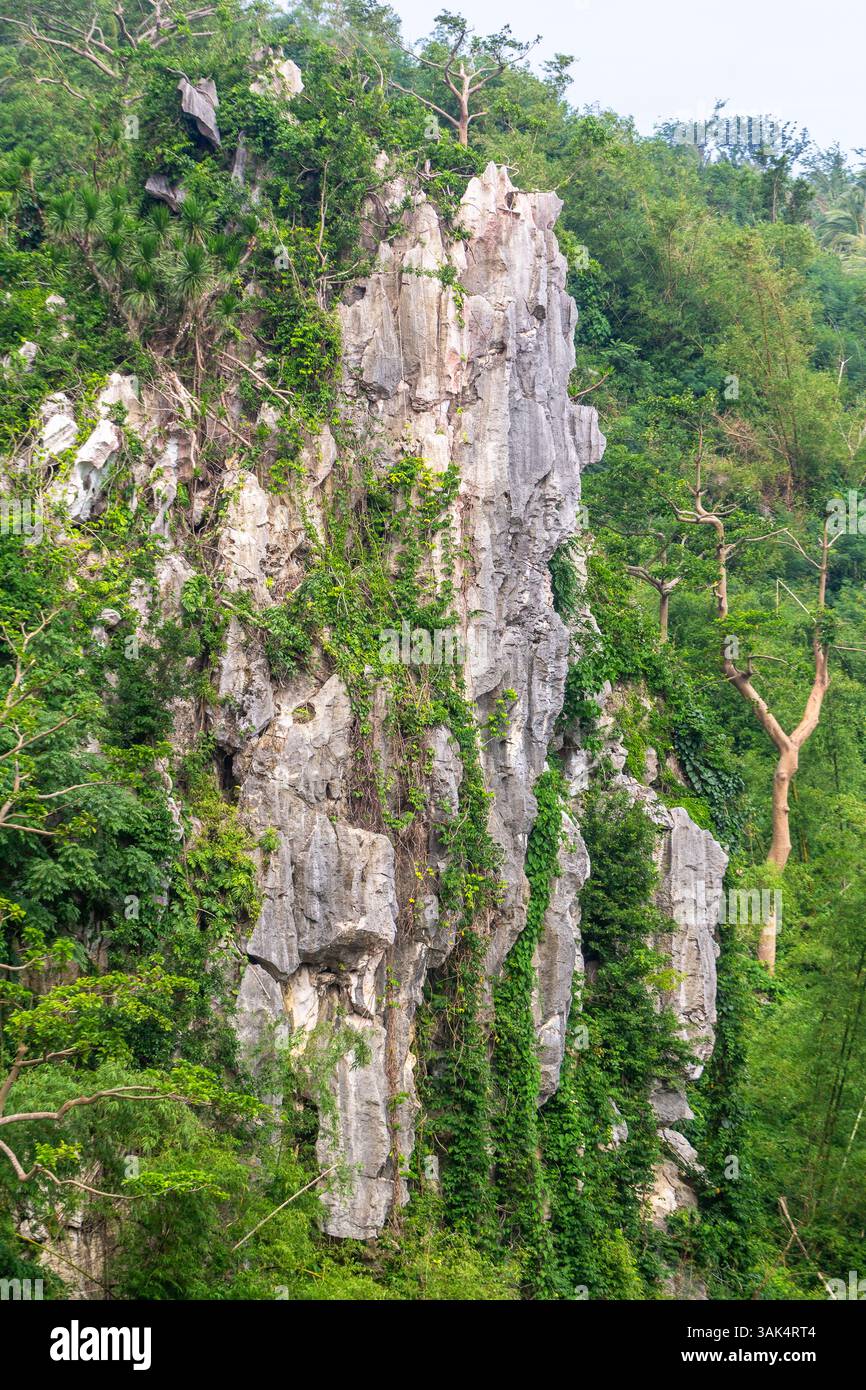 Sharp limestone karst cliffs overgrown with lush vegetation at the ...