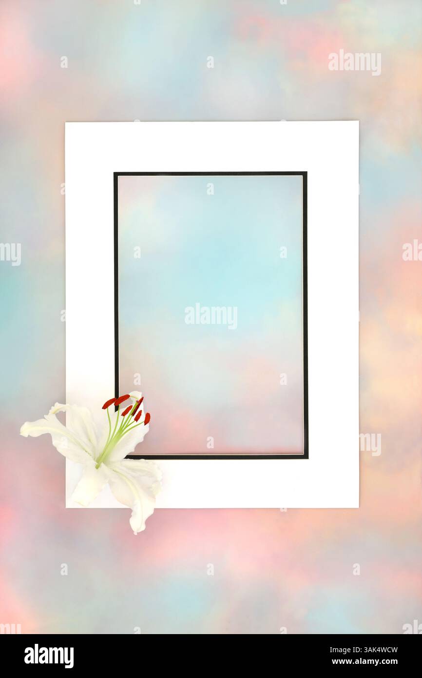 White lily flower with paradise sky background border. Abstract ...