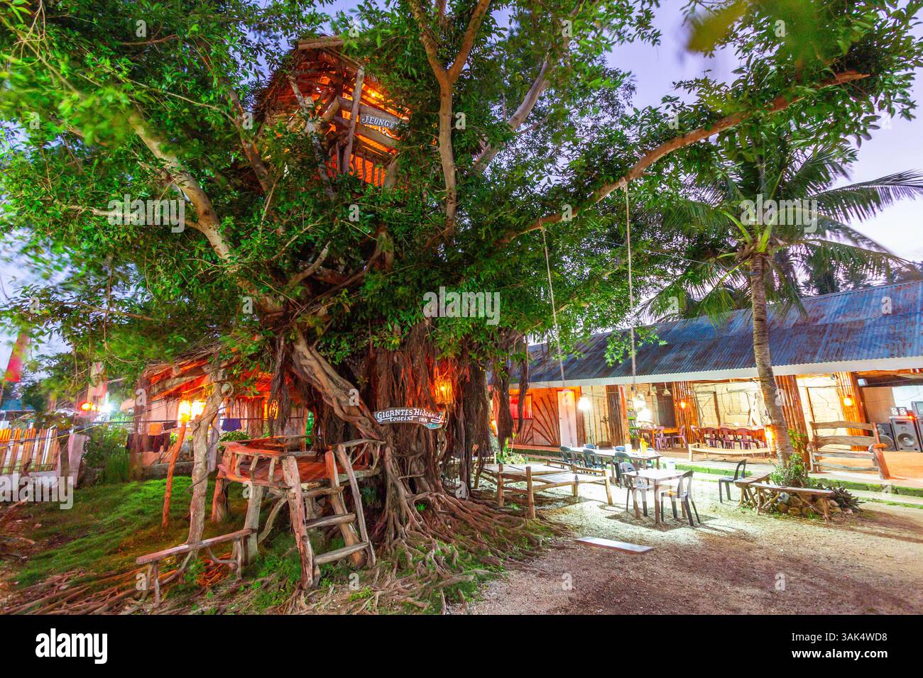 A rustic tree house perched atop a balete tree offers a unique nature ...