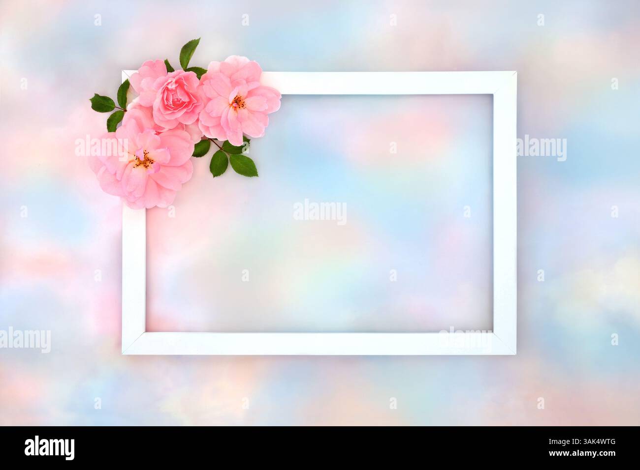 Rose flower heavenly sky fantasy background frame. Abstract summer ...