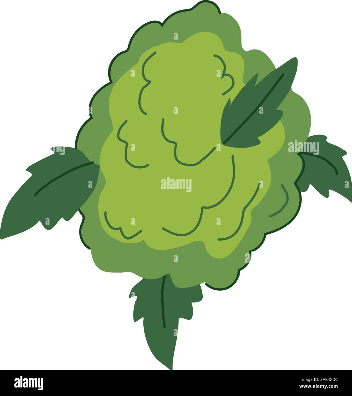 cbd weed bud cartoon vector illustration Stock Vector Image & Art - Alamy