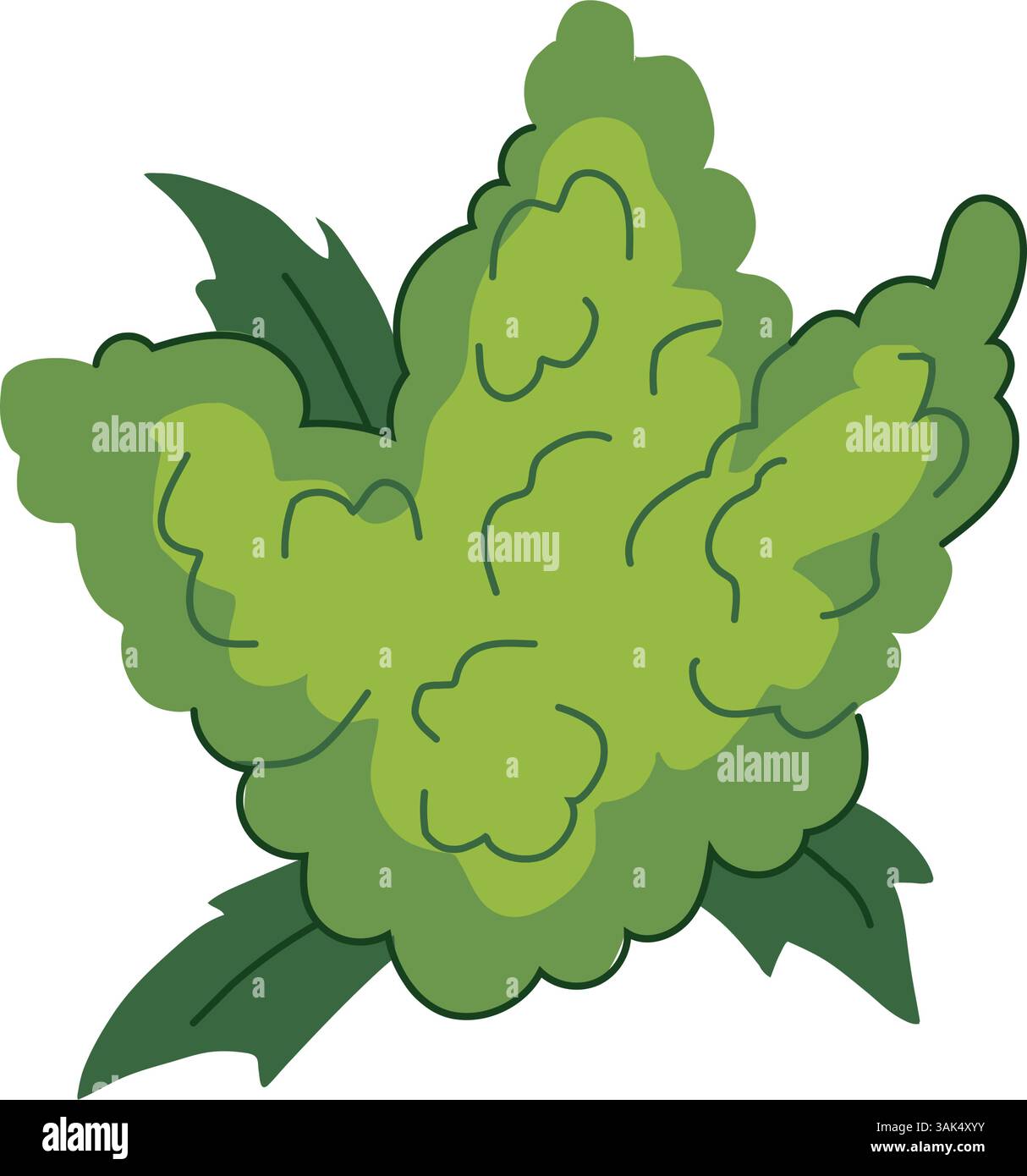 indica weed bud cartoon vector illustration Stock Vector Image & Art ...