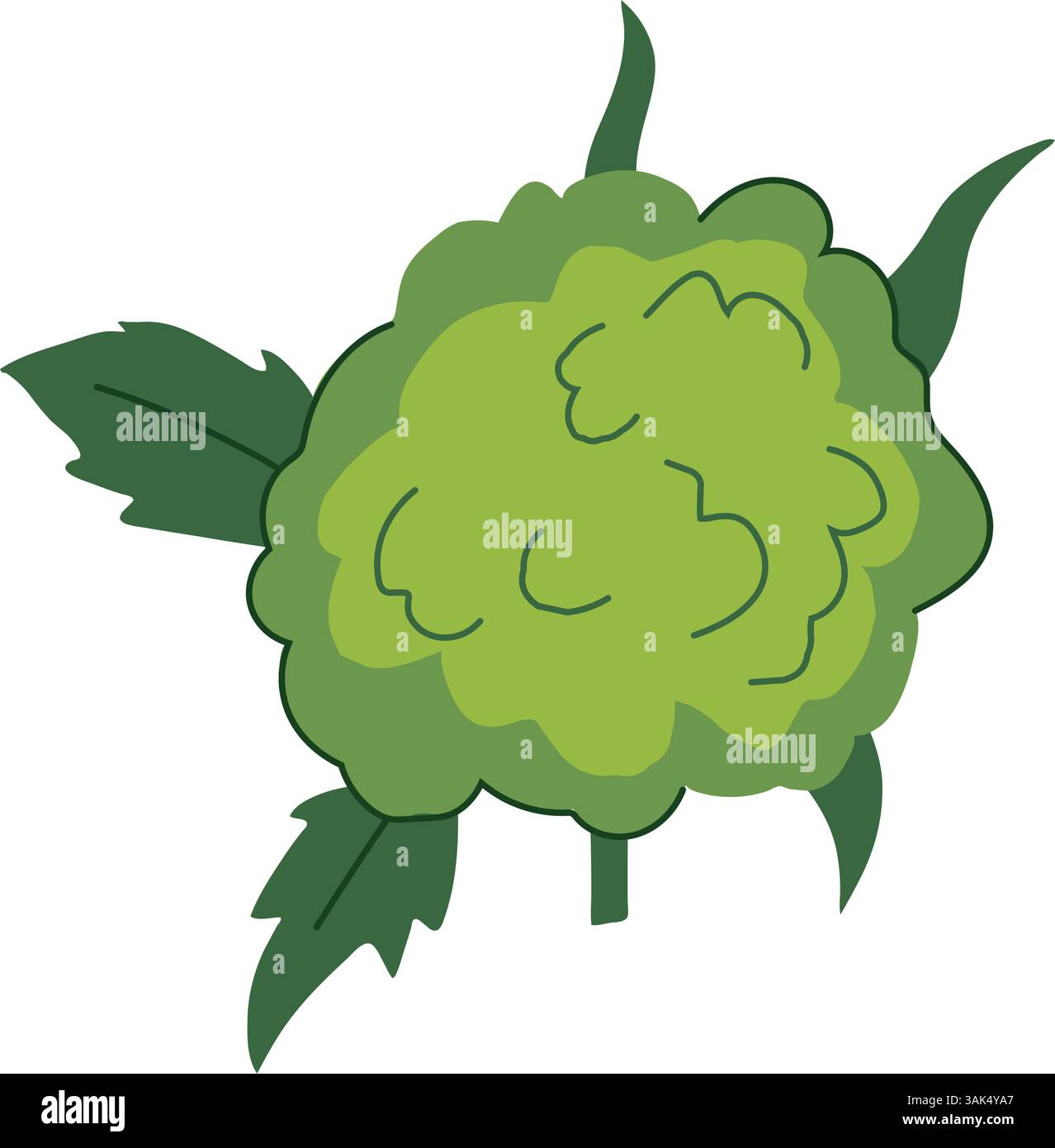 hybrid weed bud cartoon vector illustration Stock Vector Image & Art ...