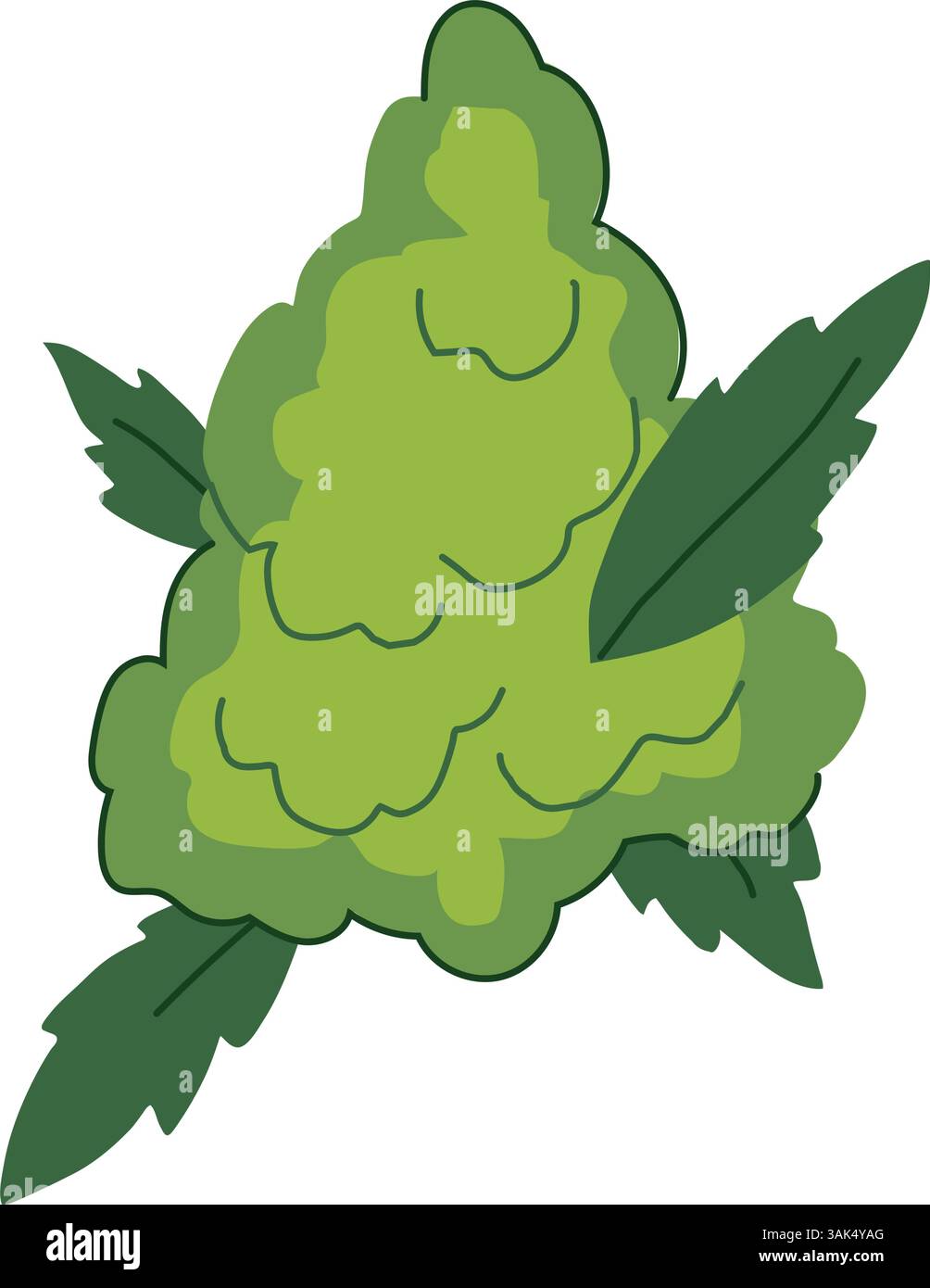 terpenes weed bud cartoon vector illustration Stock Vector Image & Art ...