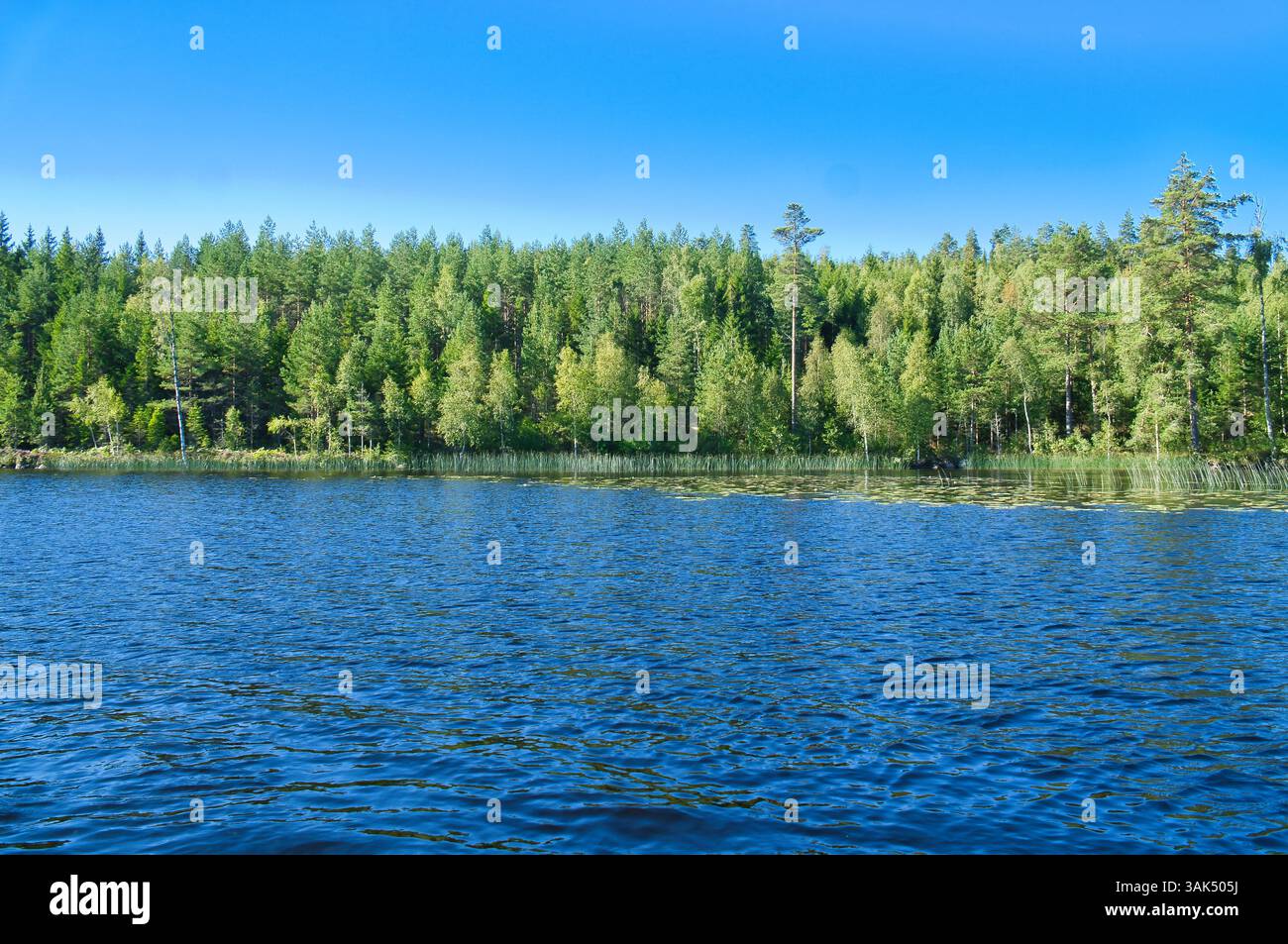 Lake In Sweden With Blue Sky And White Clouds In Front Of Blue Water ...