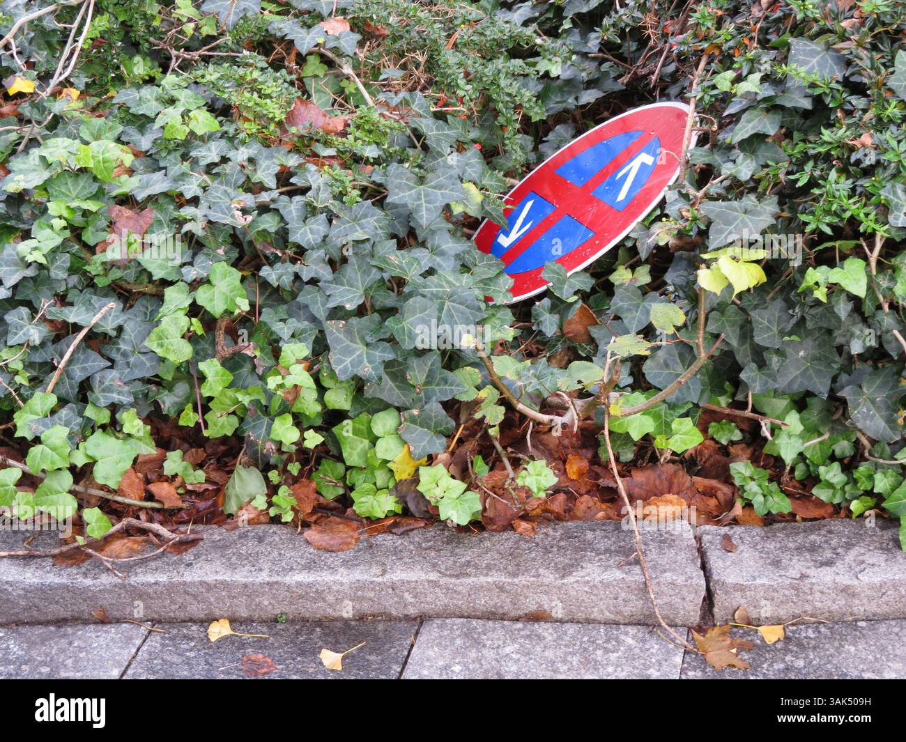 Absolute Stopping Ban In Both Directions Sign Lying In The Bushes Stock ...