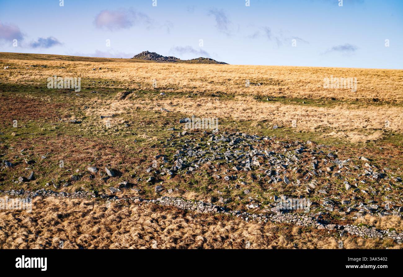 The summit of West Mill Tor, visible from New Bridge Road, Dartmoor ...
