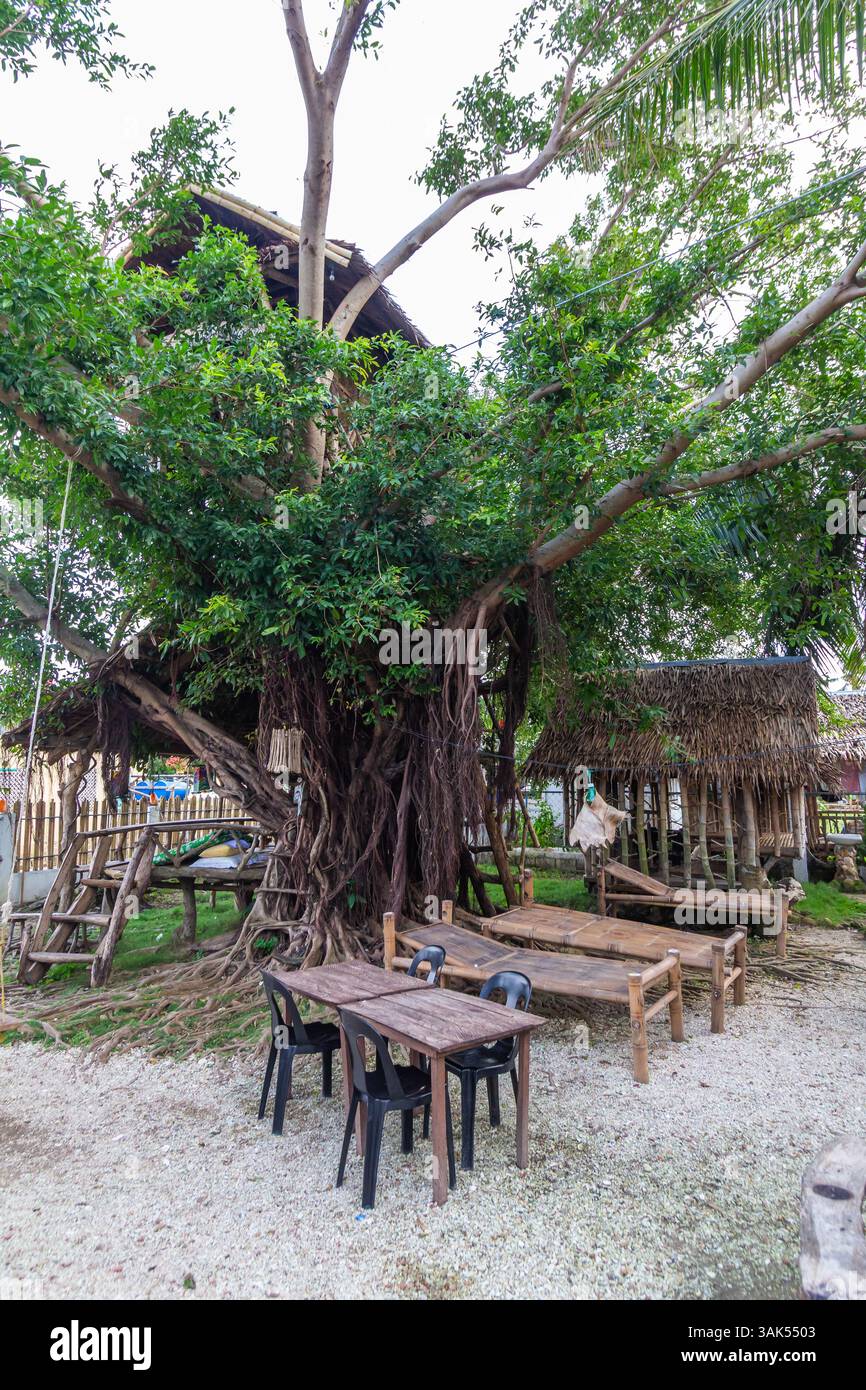 A rustic tree house perched atop a balete tree offers a unique nature ...