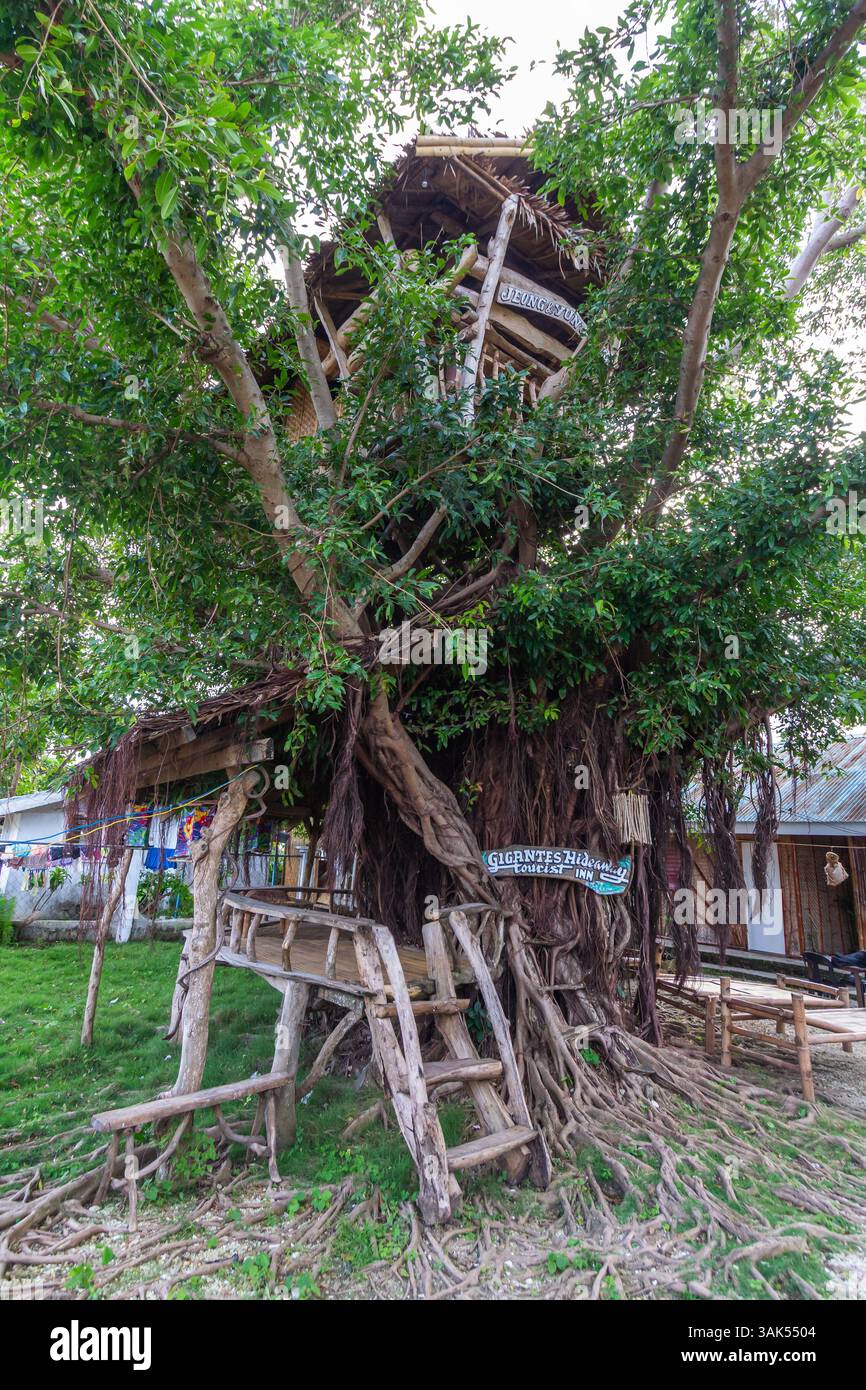 A rustic tree house perched atop a balete tree offers a unique nature ...