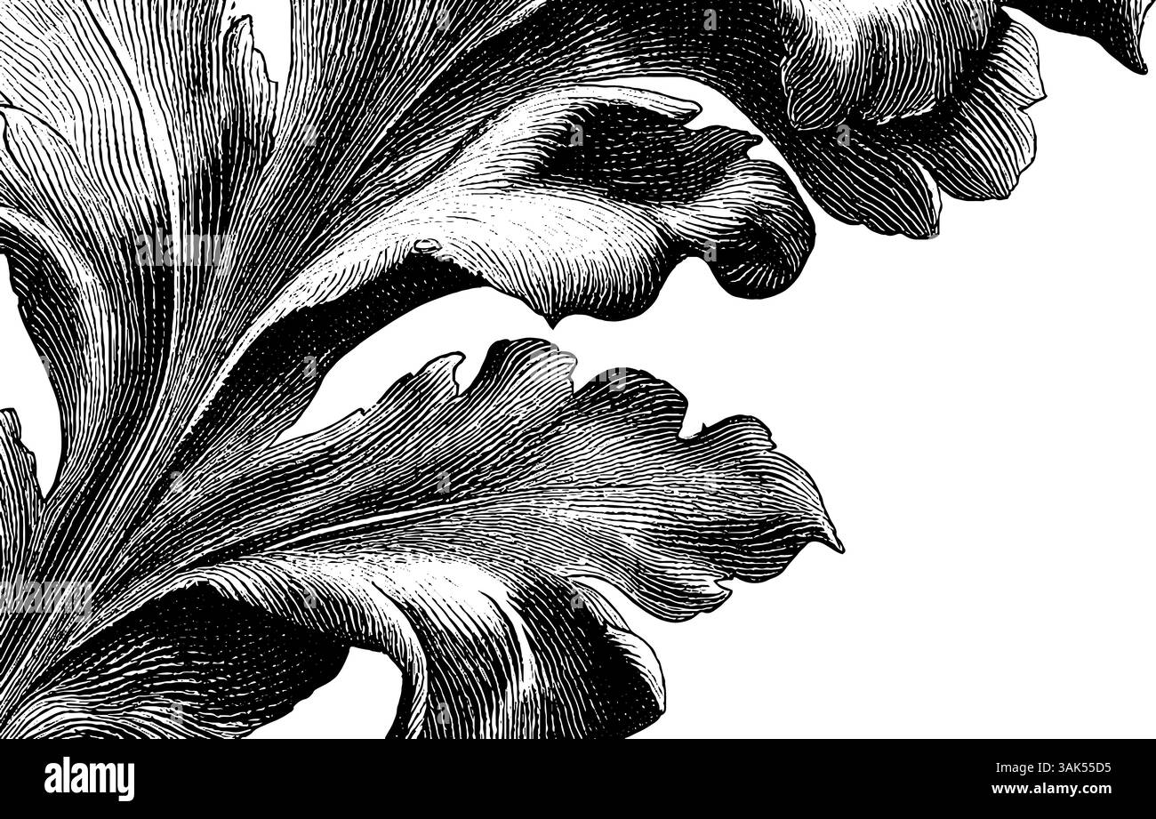 Vintage floral pattern engraving for decorative design and art projects ...