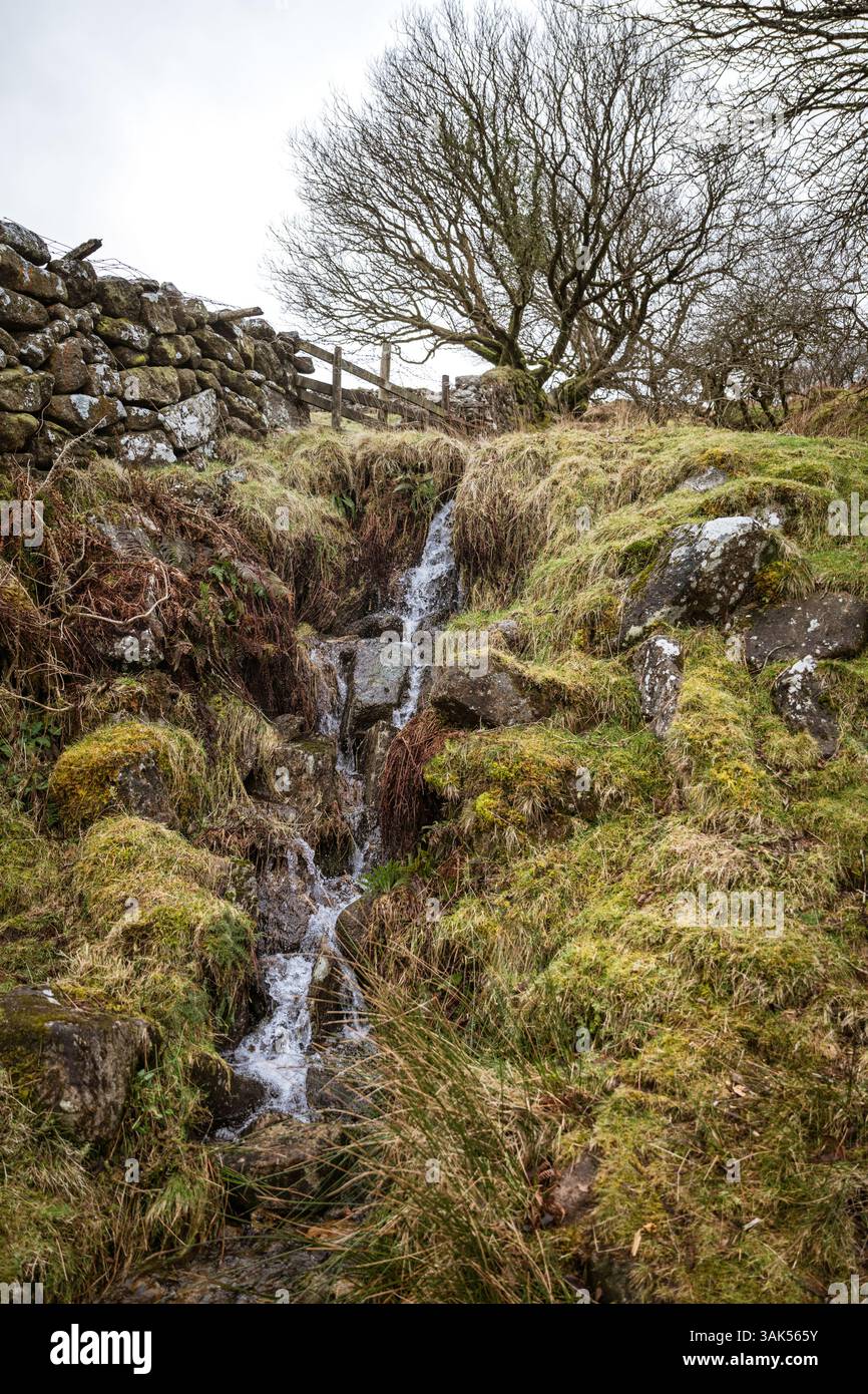 A stream flowing down beside a footpath on Cosdon Hill, Dartmoor ...