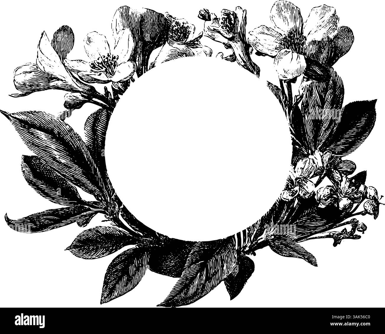 Floral engraving Black and White Stock Photos & Images - Alamy
