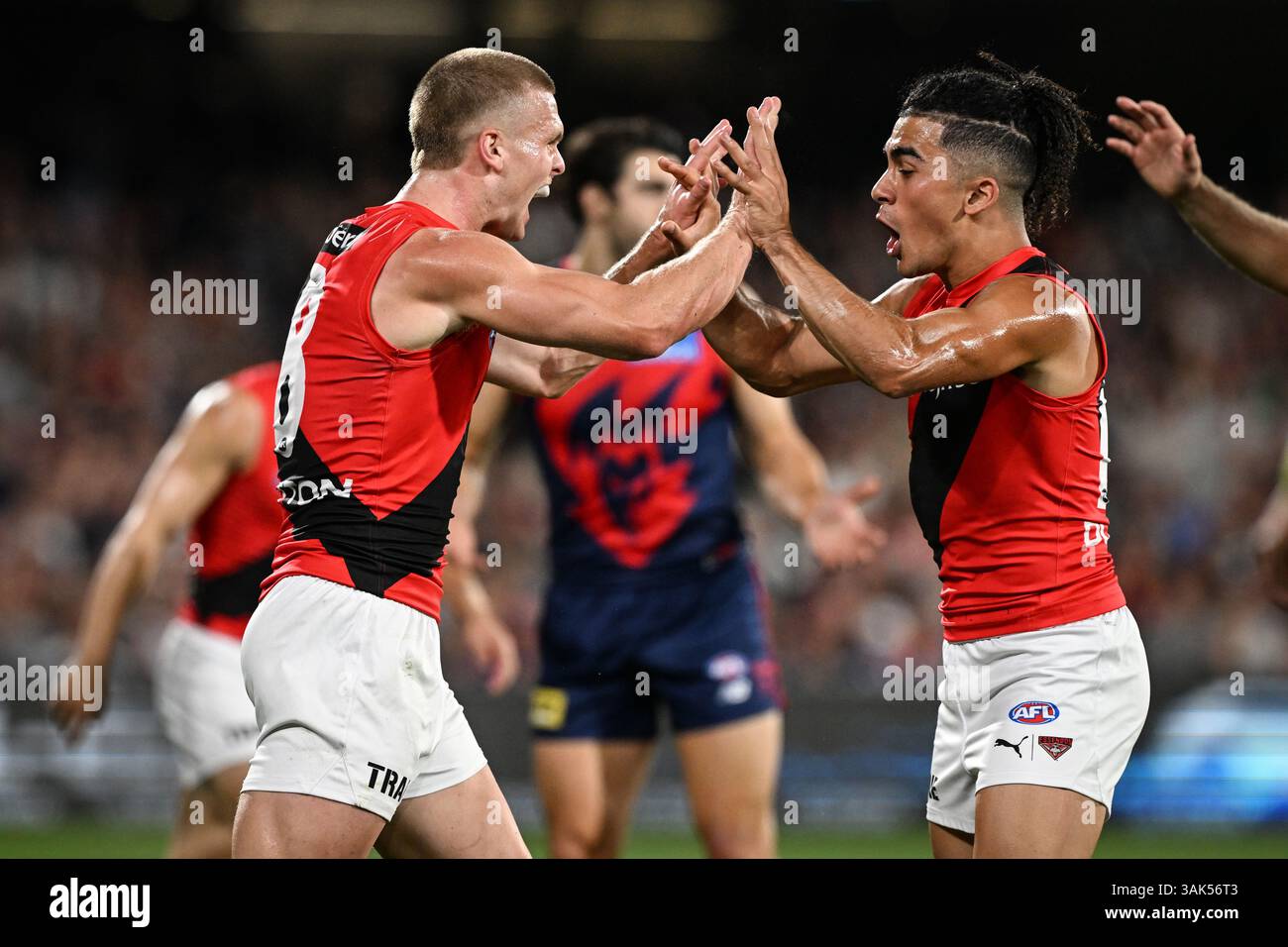 Adelaide, Australia. 12th Apr, 2025. Ben Hobbs of Essendon reacts after ...