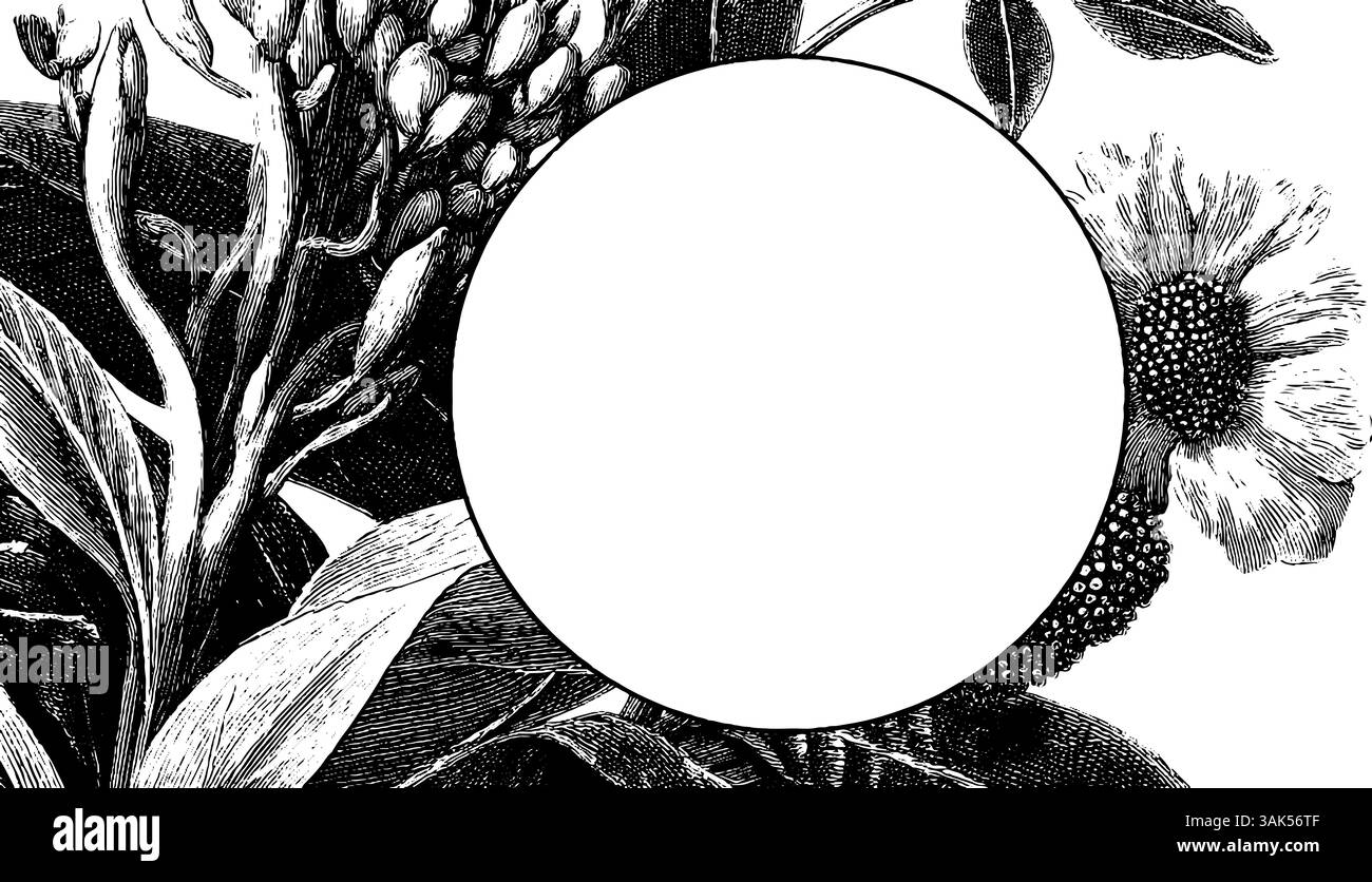 Ornate botanical wedding frame design for invitations and cards Stock ...