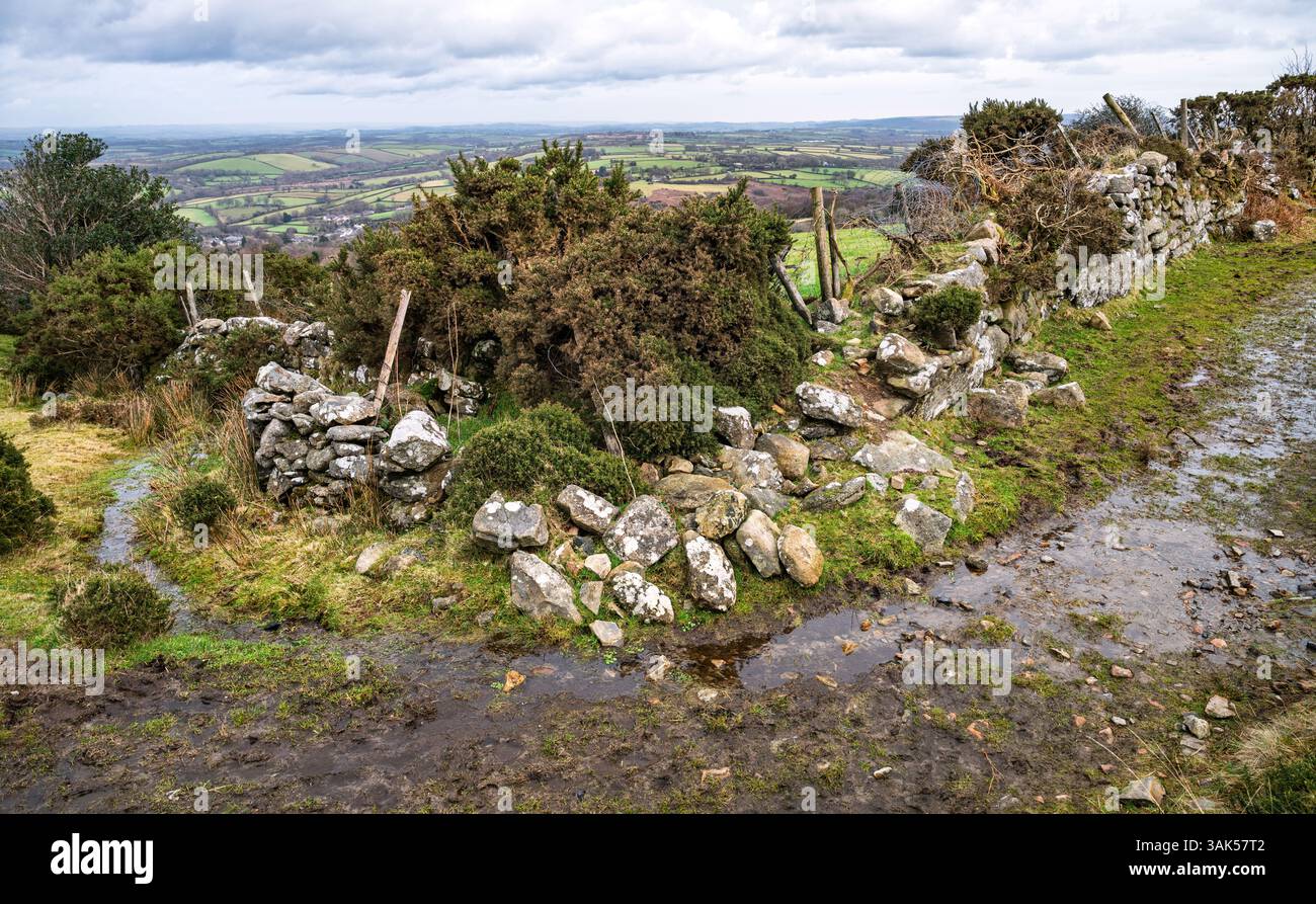 Crumbling corner of a drystone wall on the lower slopes of Cosdon Hill ...