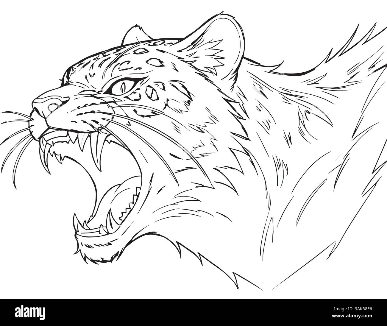 Linework leopard hi-res stock photography and images - Alamy