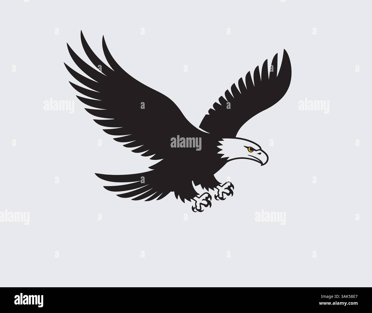 Bald eagle head detail Stock Vector Images - Alamy