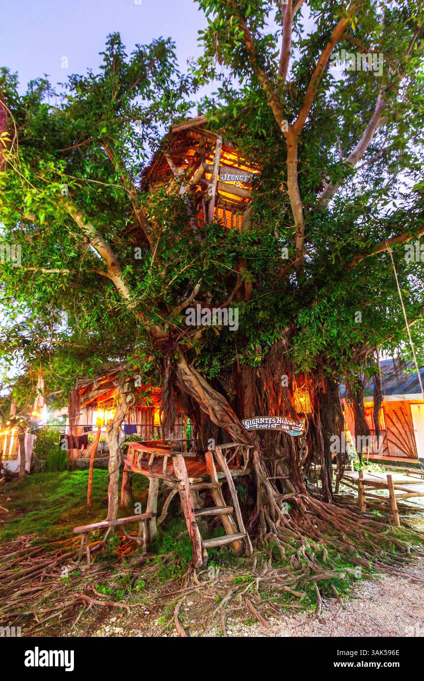 A rustic tree house perched atop a balete tree offers a unique nature ...