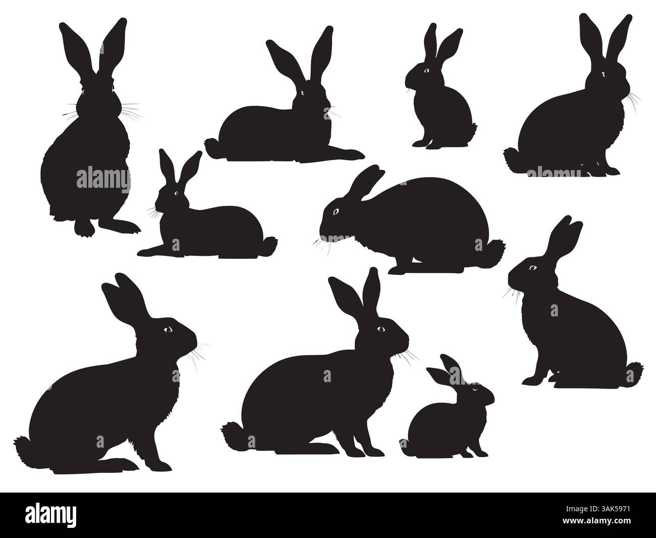 Leaping rabbit hi-res stock photography and images - Alamy