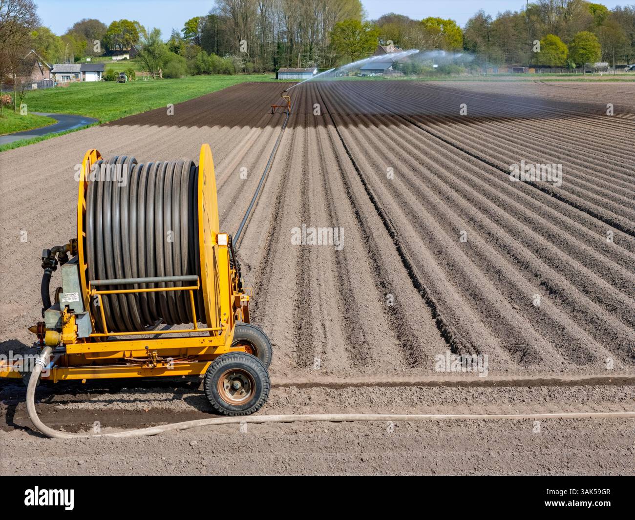 Artificial irrigation of a potato field in April, with a sprinkler ...