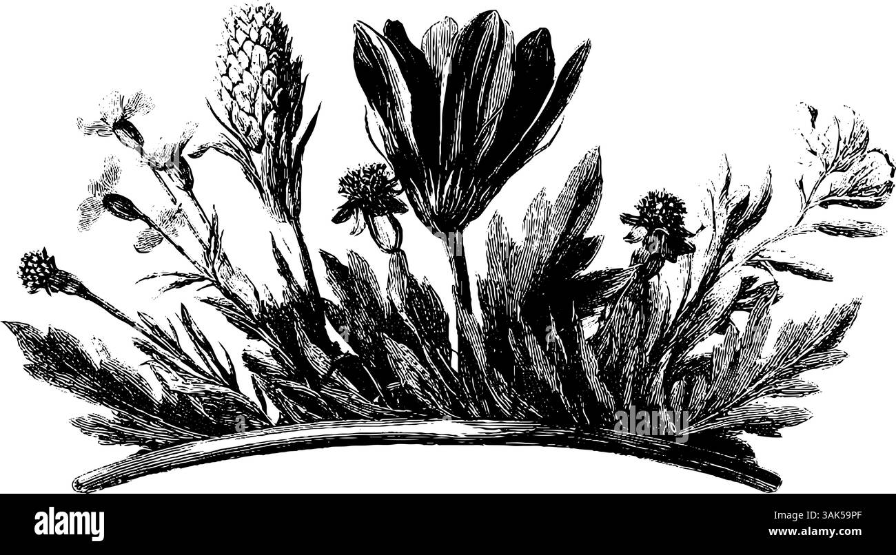 Elegant engraved floral bouquet illustration with orchid flowers for ...