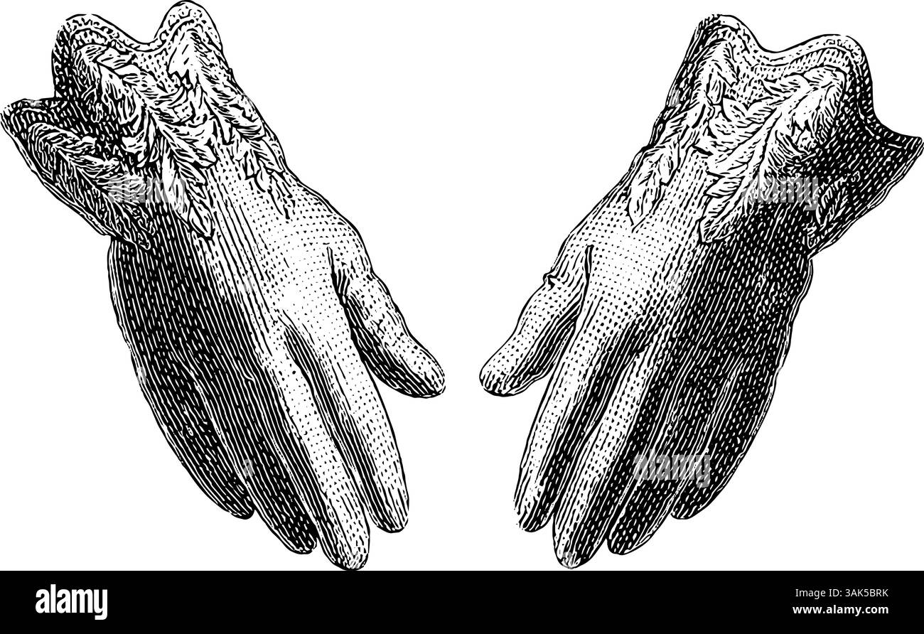 Engraved illustration of vintage letter a in black bold line for design ...